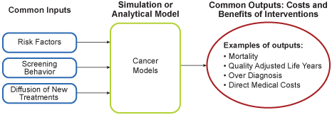 Modeling Approach | SRP/DCCPS/NCI/NIH